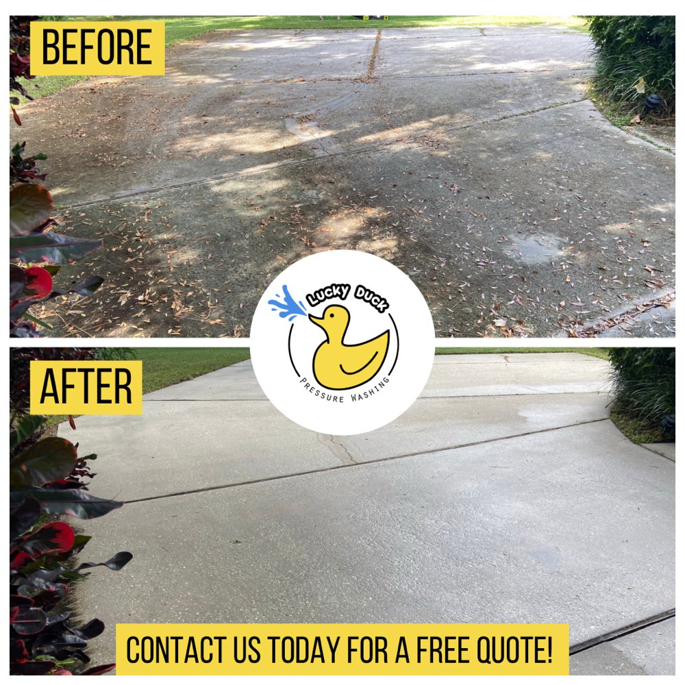 LUCKY DUCK PRESSURE WASHING - Updated July 2025 - Sarasota, Florida ...