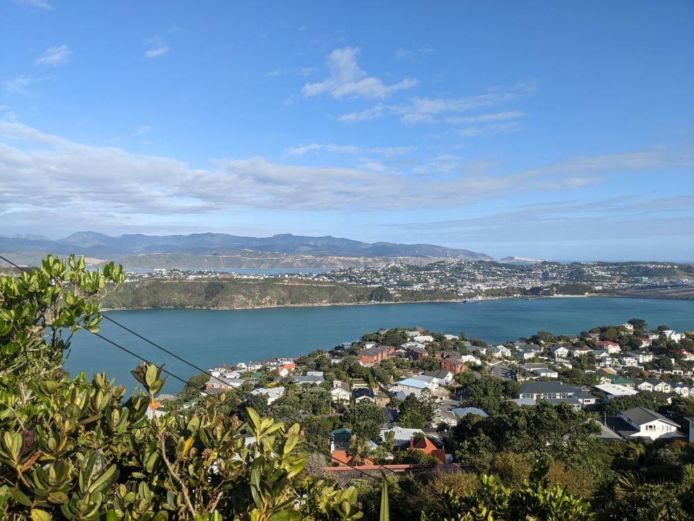 WELLYWOOD - MIRAMAR VIEW - Updated March 2024 - 9 Alexandra Rd ...