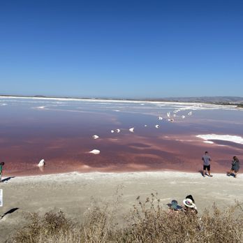 ALVISO MARINA COUNTY PARK - Updated August 2025 - 1718 Photos & 223 ...