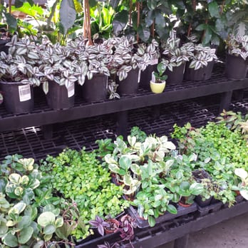 GREEN CONNECTION - Updated December 2025 - 14 Photos & 10 Reviews - 804 ...