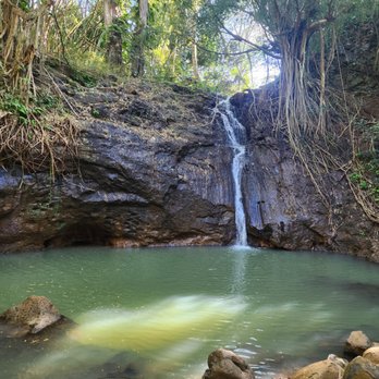 KIPU RANCH ADVENTURES - Updated September 2025 - 1840 Photos & 1606 ...