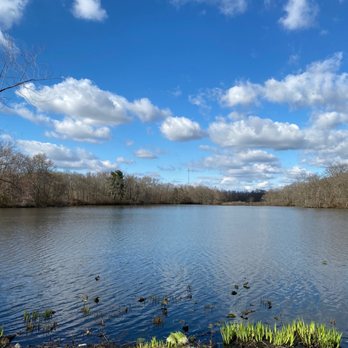 ETRA LAKE PARK - Updated December 2025 - 9 Disbrow Hill Rd, East ...