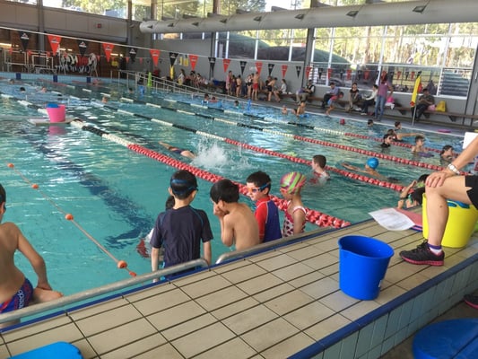 MACQUARIE UNIVERSITY SPORT - Updated October 2025 - Gymnasium Rd ...