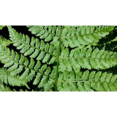 COLD STREAM FARM - Updated January 2026 - 13 Photos & 14 Reviews - 8585 ...