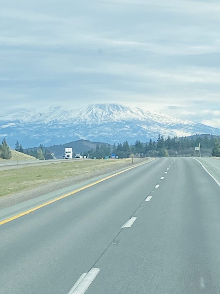 WEED REST AREA - Updated December 2025 - 64 Photos & 18 Reviews ...