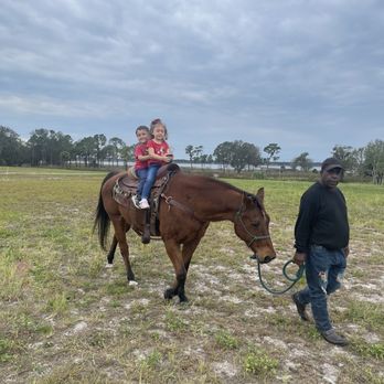 SCARS FARM - Updated December 2025 - 14 Photos - 777 Alturas Rd, Bartow ...