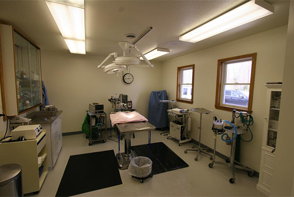 SUNRISE SIDE VETERINARY HOSPITAL - Updated December 2025 - 13 Photos ...
