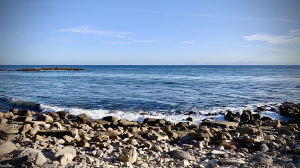 WHITE POINT/ROYAL PALMS COUNTY BEACH - 610 Photos & 105 Reviews ...