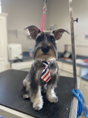 FOUR PAWS INN - 831 Photos & 154 Reviews - 3500 W Ramsey St, Banning ...