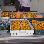 CHINO FARM | 97 Photos & 149 Reviews - 6123 Calzada Del Bosque, Rancho ...