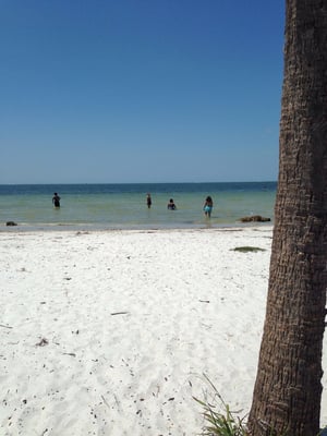 BUNCHE BEACH PRESERVE - Updated October 2025 - 102 Photos & 34 Reviews ...