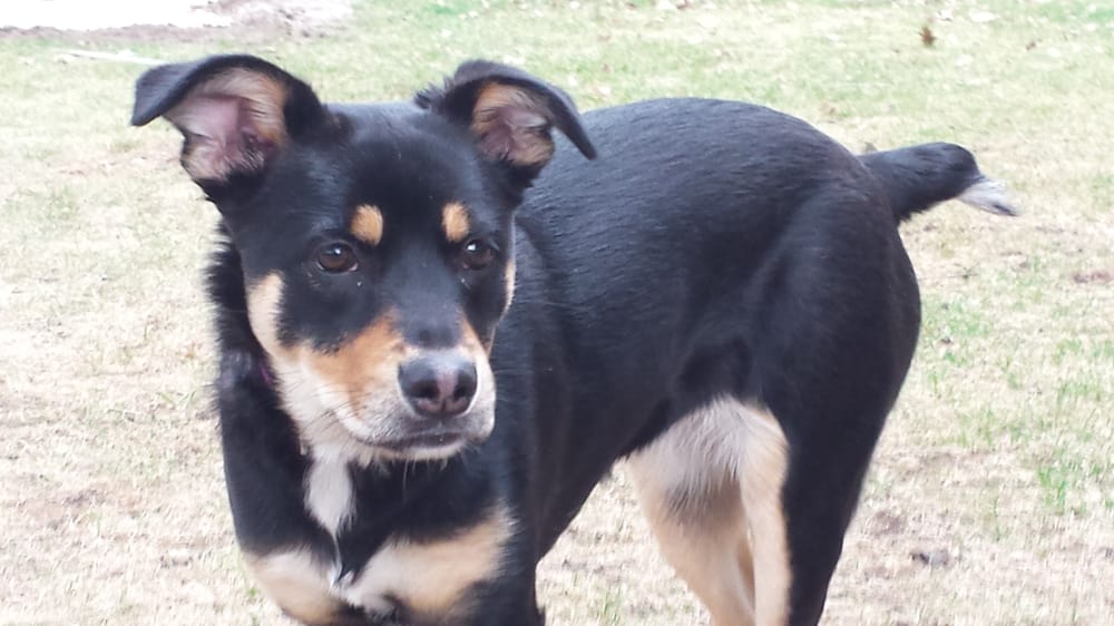 NAHAH - Updated December 2025 - 16 Reviews - 1250 23rd St NW ...