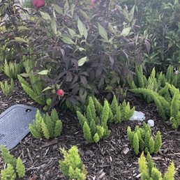 SKYLAWN ROOFTOP AT POST HTX - Updated July 2025 - 145 Photos & 34 ...