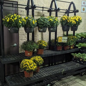 SHOPRITE OF DELRAN - Updated December 2025 - 69 Photos & 38 Reviews ...