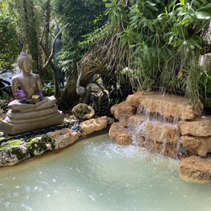 RF ORCHIDS - 633 Photos & 64 Reviews - 28100 SW 182nd Ave, Homestead ...