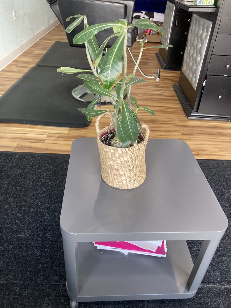 IBROW THREADING & SPA BY NILIMA - Updated October 2025 - 20 Photos & 24 Reviews - 5616 S 108th ...