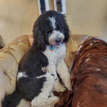 RED RIFLE - Updated October 2025 - 292 Photos & 377 Reviews - 1505 E ...