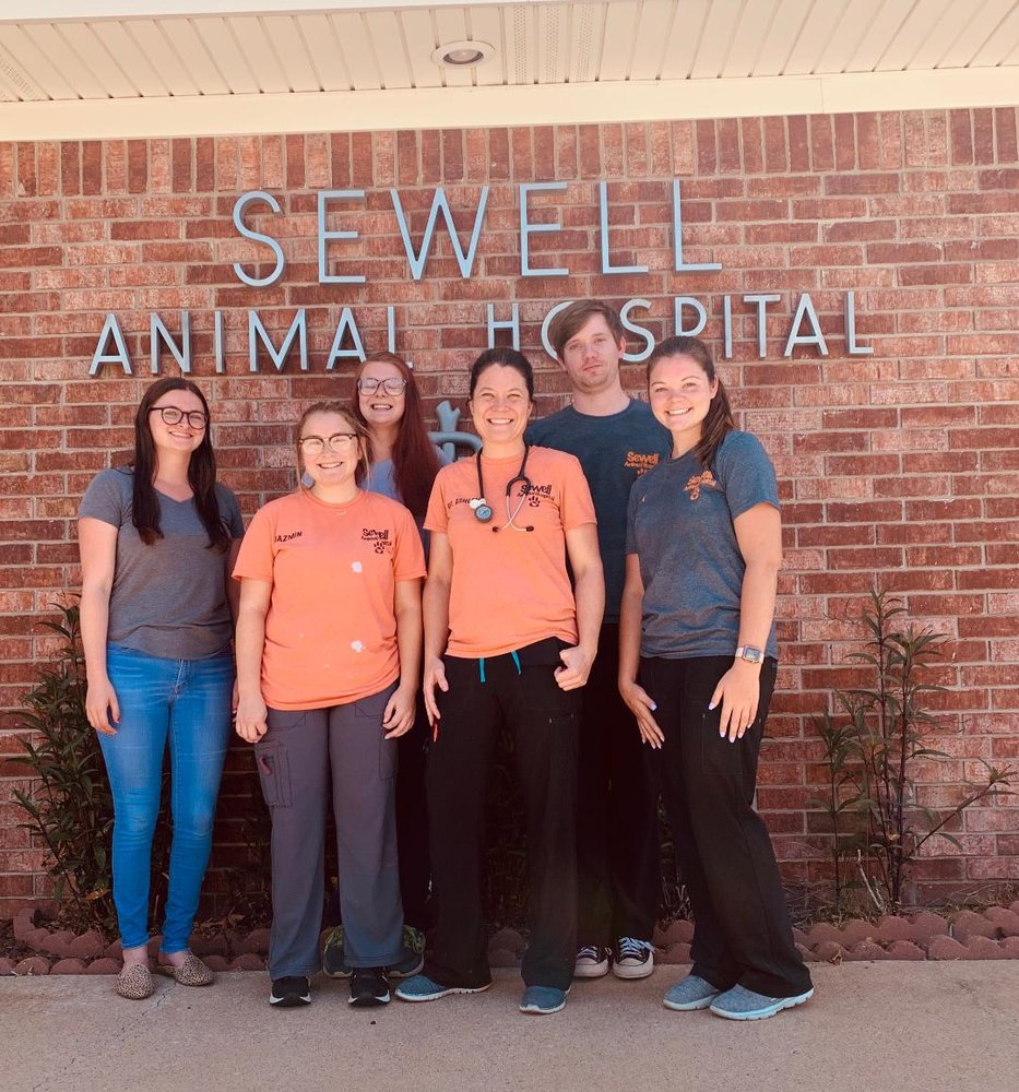 SEWELL ANIMAL HOSPITAL - Updated August 2024 - 638 S Main St, McAlester ...