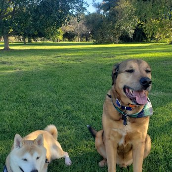 EL DORADO EAST REGIONAL PARK - Updated May 2025 - 568 Photos & 203 ...