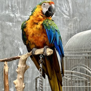 HOUSTON INTERACTIVE AQUARIUM AND ANIMAL ADVENTURE - Updated January ...