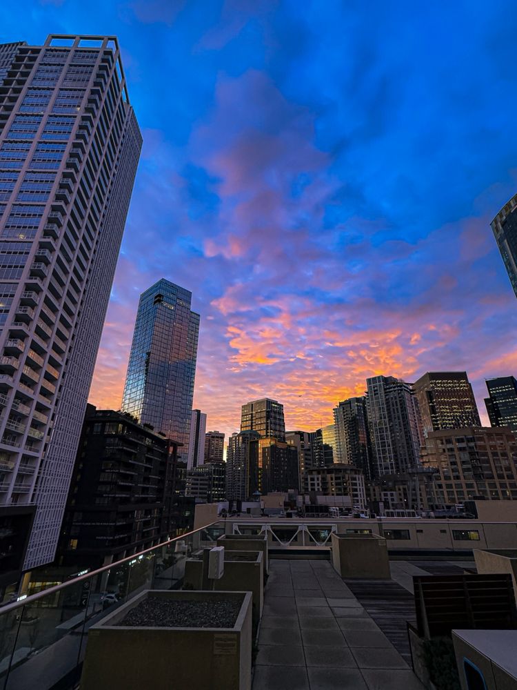 AMAZON ARIZONA - Updated December 2025 - 28 Photos - 207 Boren Ave N ...