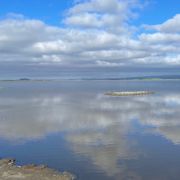 ALVISO MARINA COUNTY PARK - 1330 Photos & 187 Reviews - 1195 Hope St ...