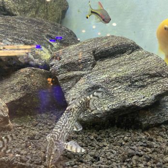 FLOATING SEA AQUATICS - Updated July 2025 - 268 Photos & 55 Reviews ...