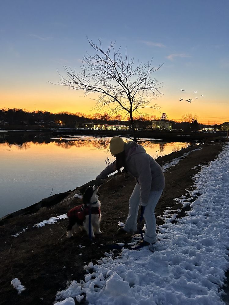 URBANPUP PACK - Updated October 2025 - Jamaica Plain, Massachusetts ...