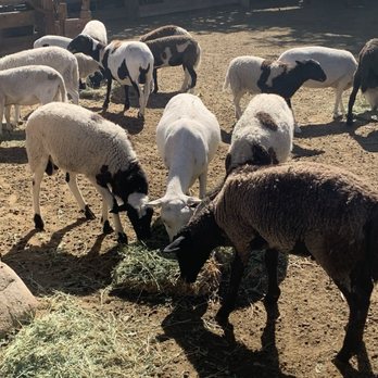 FERRARI FARMS - Updated October 2025 - 191 Photos & 69 Reviews - 4701 ...