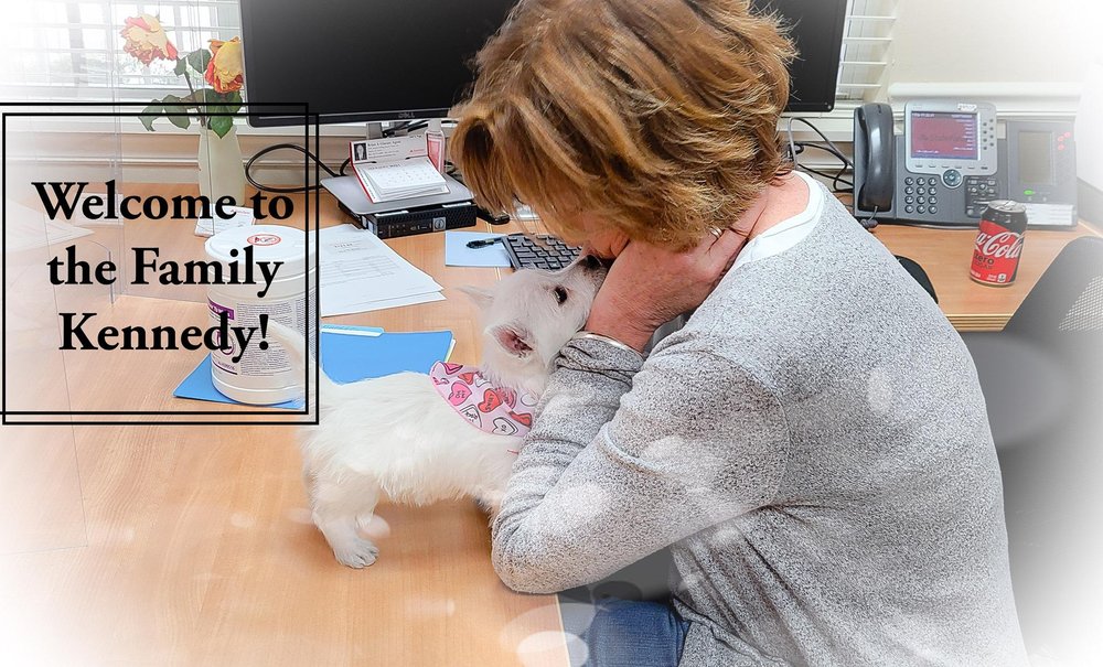 BRIAN GLAESER - STATE FARM INSURANCE AGENT - Updated January 2025 - 45 ...