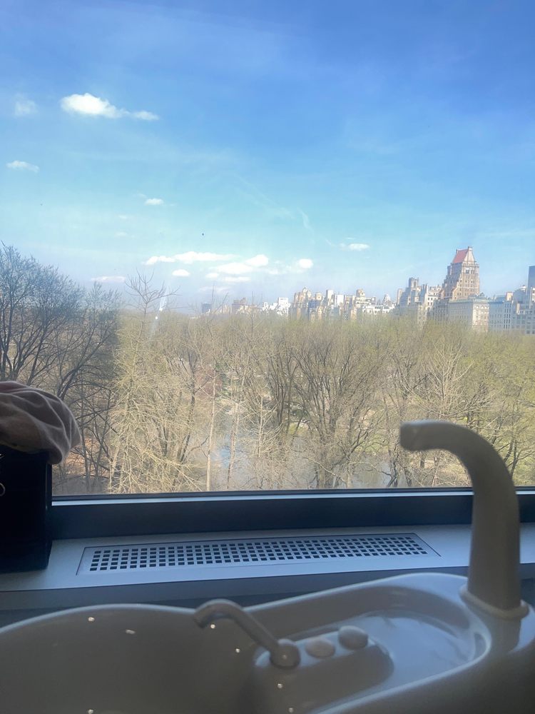 ALAIN ROIZEN DDS - Updated April 2026 - 30 Central Park S, New York ...