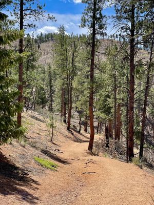 PINE VALLEY RANCH - Updated December 2025 - 42 Photos - 30400 Crystal ...