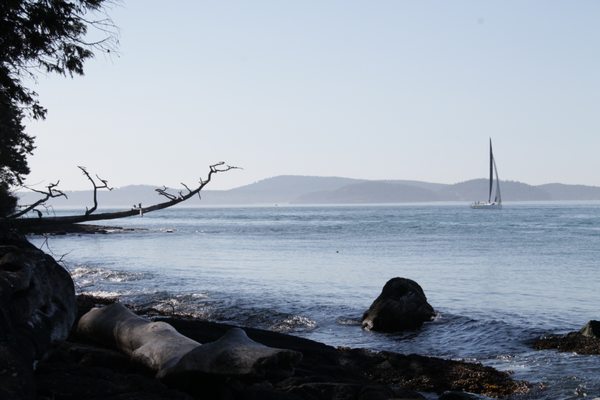 WASHINGTON PARK - Updated August 2024 - 195 Photos & 67 Reviews - 6300 ...