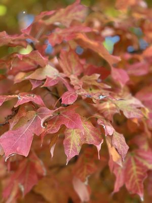 BYRD PARK - Updated December 2025 - 75 Photos & 38 Reviews - 600 S Blvd ...