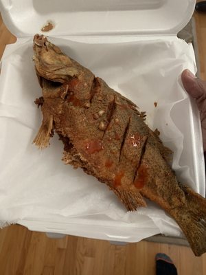 SEA DEPOT - 19 Photos & 41 Reviews - 750 E Chatham St, Cary, North ...