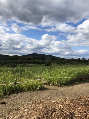 BEACON FALLS CAFE - 149 Photos & 233 Reviews - 472 Main St, Beacon, NY ...