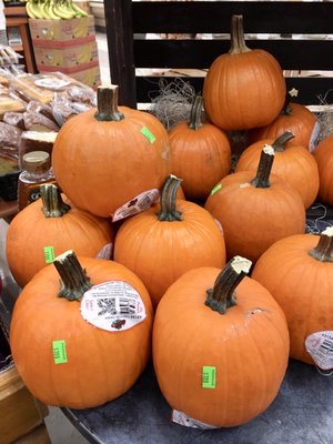 PENNINGTON QUALITY MARKET - Updated September 2024 - 31 Photos & 28 ...