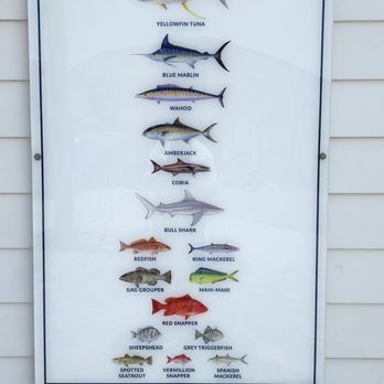 ZEKE’S RESTAURANT - Updated July 2024 - 444 Photos & 328 Reviews ...