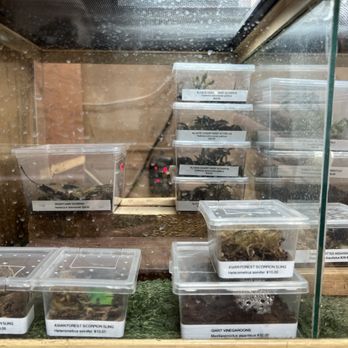 EAST BAY VIVARIUM - Updated July 2024 - 592 Photos & 573 Reviews - 1827 ...