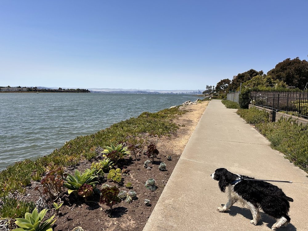 TOWATA PARK - Updated March 2026 - 23 Photos - 3315 Bridgeway Isle ...