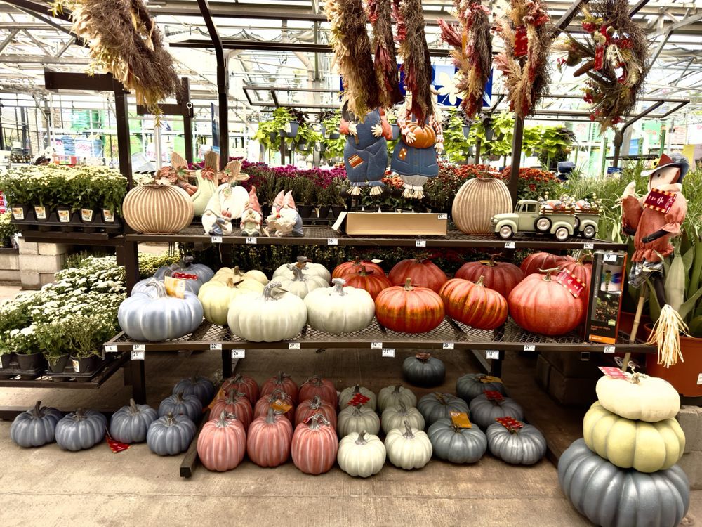 LOWE’S HOME IMPROVEMENT - Updated November 2025 - 90 Photos & 223 ...