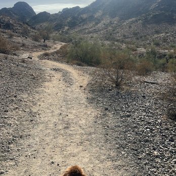 DREAMY DRAW RECREATION AREA - Updated December 2025 - 262 Photos & 78 ...