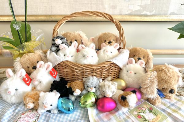 15 CRAIGSIDE - Updated January 2026 - 78 Photos - 15 Craigside Pl ...