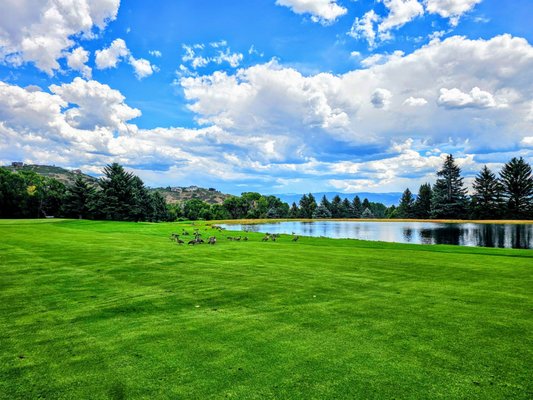 WASATCH MOUNTAIN STATE PARK GOLF - Updated December 2025 - 32 Photos ...
