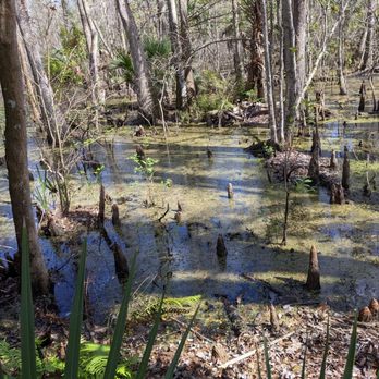 LITTLE BIG ECON STATE FOREST - Updated August 2025 - 171 Photos & 25 Reviews - 1350 Snow Hill Rd ...