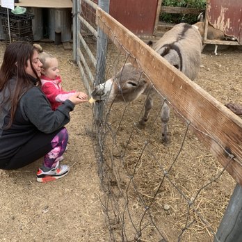 PEZZA FARM AND GARDEN CENTER - Updated October 2025 - 64 Photos & 18 ...