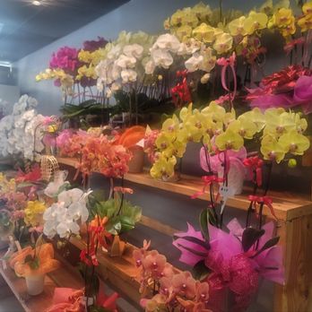 TIGON FLORIST - Updated July 2025 - 35 Photos - 10161 Bolsa Ave ...