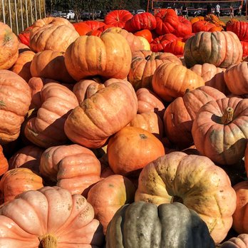 FIR POINT FARMS - Updated May 2024 - 148 Photos & 88 Reviews - 14601 NE ...