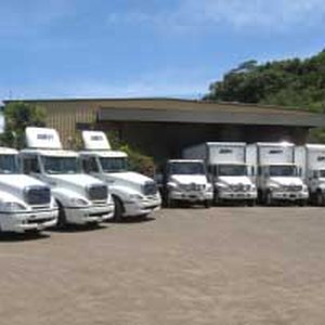 HONOLULU FREIGHT SERVICE - Updated December 2025 - 32 Reviews - 933 N ...