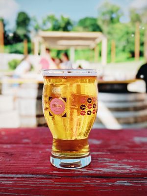 UNION CRAFT BREWING - 269 Photos & 210 Reviews - 1700 W 41st St ...